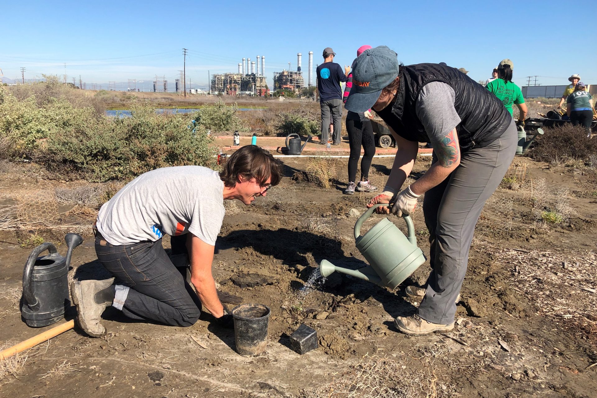 Restoring a community wetland ~ Restore America's Estuaries