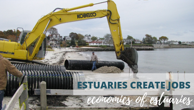 Estuary Science - Restore America's Estuaries