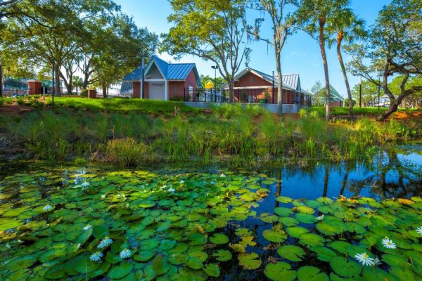 The Three “C’s” of Success: Conservation, collaboration, and community ...