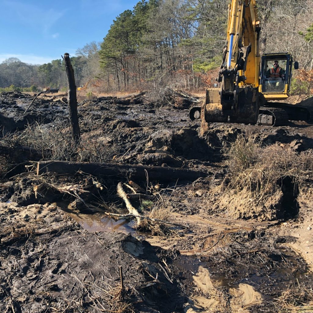 Funding critical restoration ~ Restore America's Estuaries