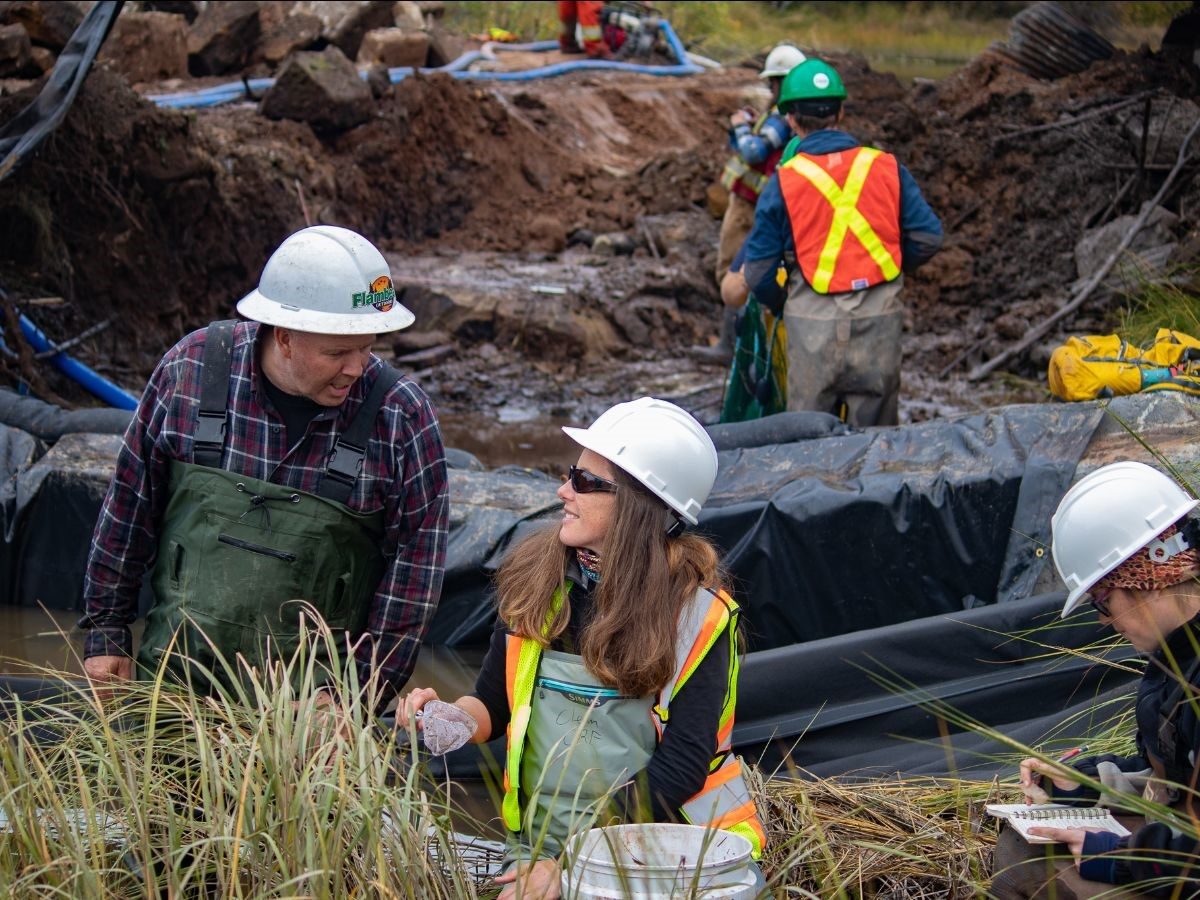 Clean Coasts Receives One of The Clean50 Top Project Awards ~ Restore ...