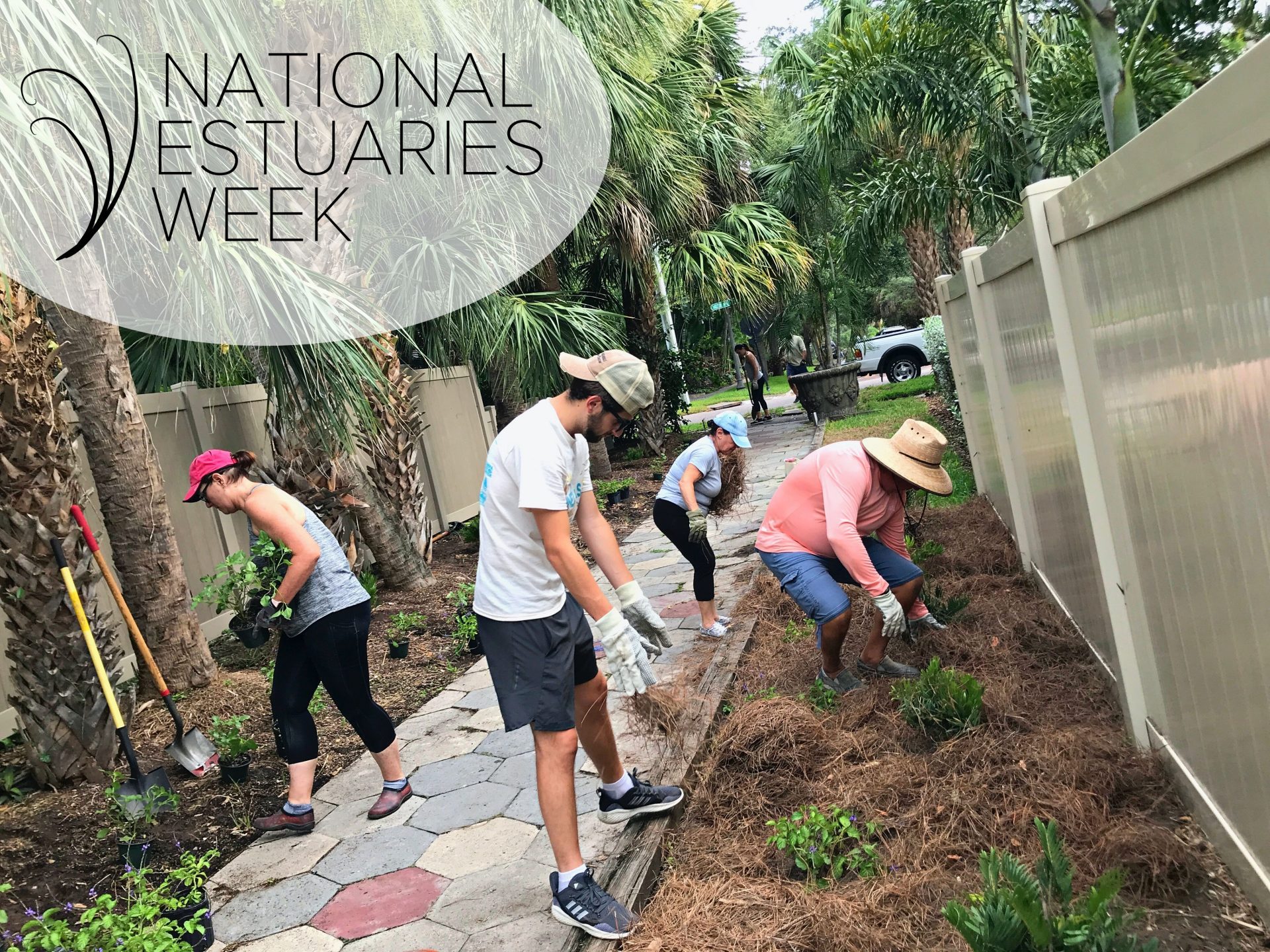 Florida Watershed Revitalized Thanks to Hard Work of Local Community ...