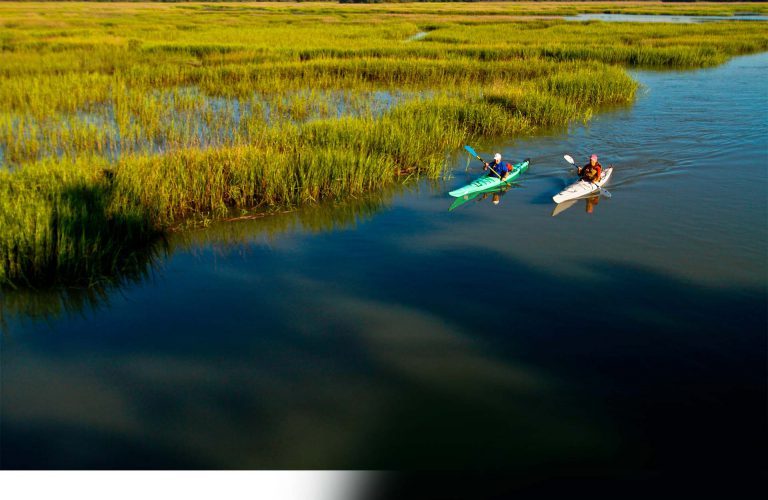 Estuary Science ~ What is an Estuary? ~ Restore America's Estuaries
