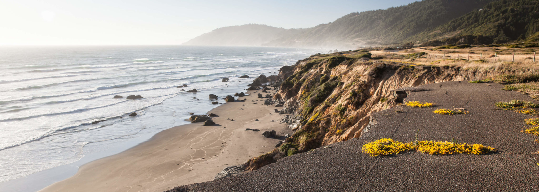 Why are estuaries important? ~ Restore America's Estuaries