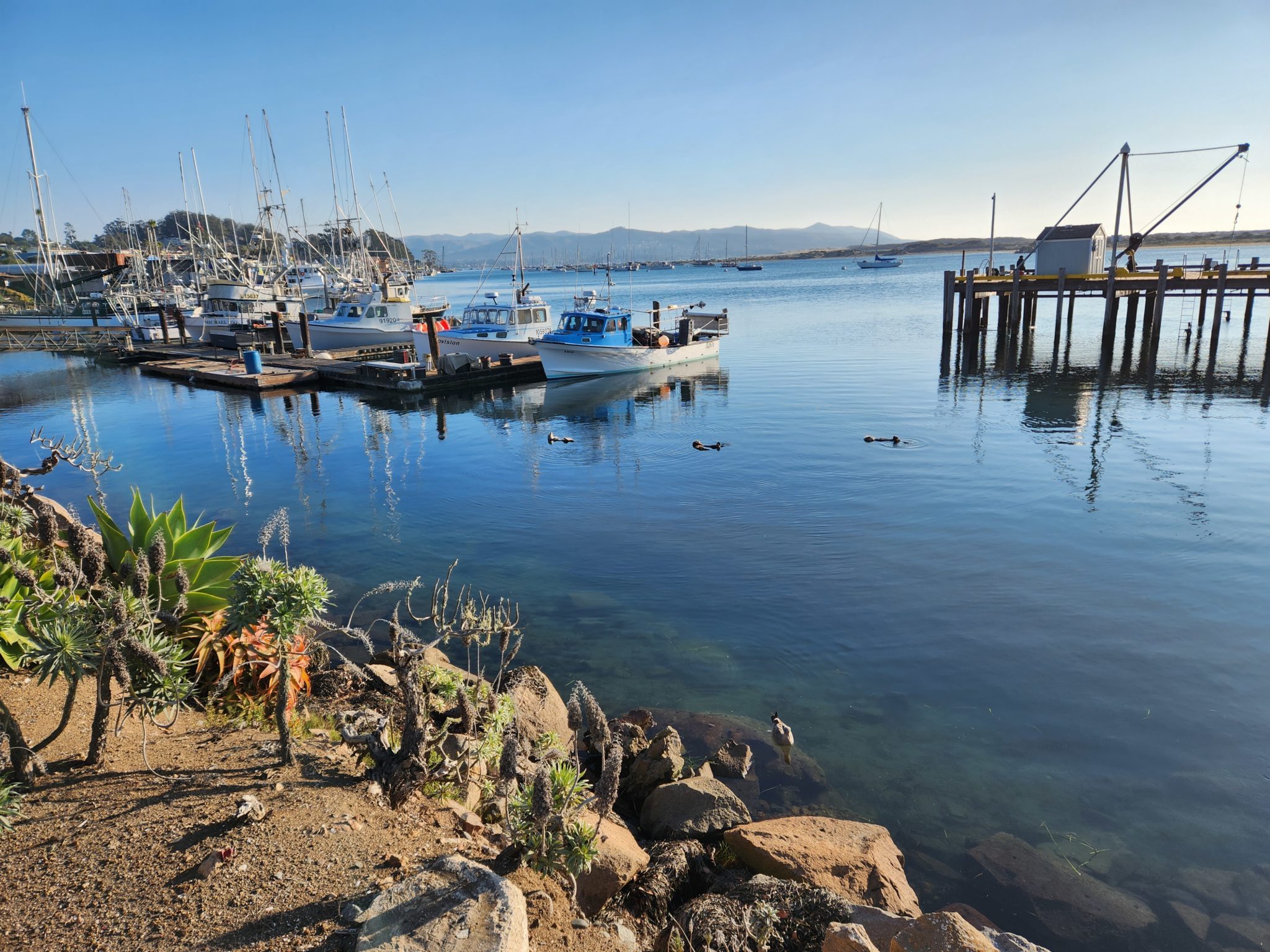 NEP Watersheds Grant ~ Restore America's Estuaries