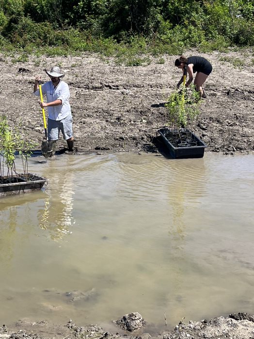 NatureFest at the Wetland Park & Nature Trail: Celebrating Earth Day ...