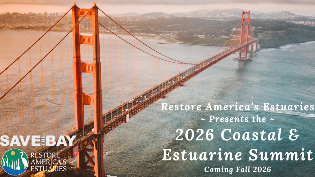 RAE 2024 Coastal & Estuarine Summit