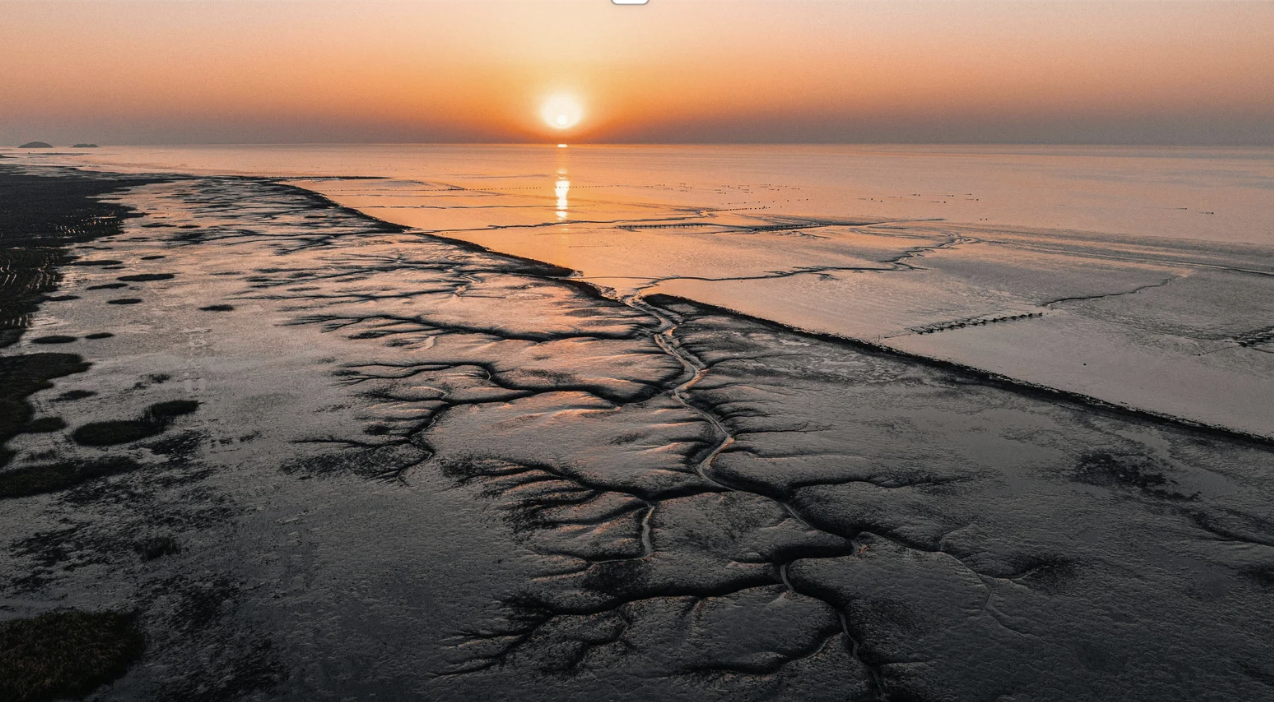 Estuary Science ~ What is an Estuary? ~ Restore America's Estuaries